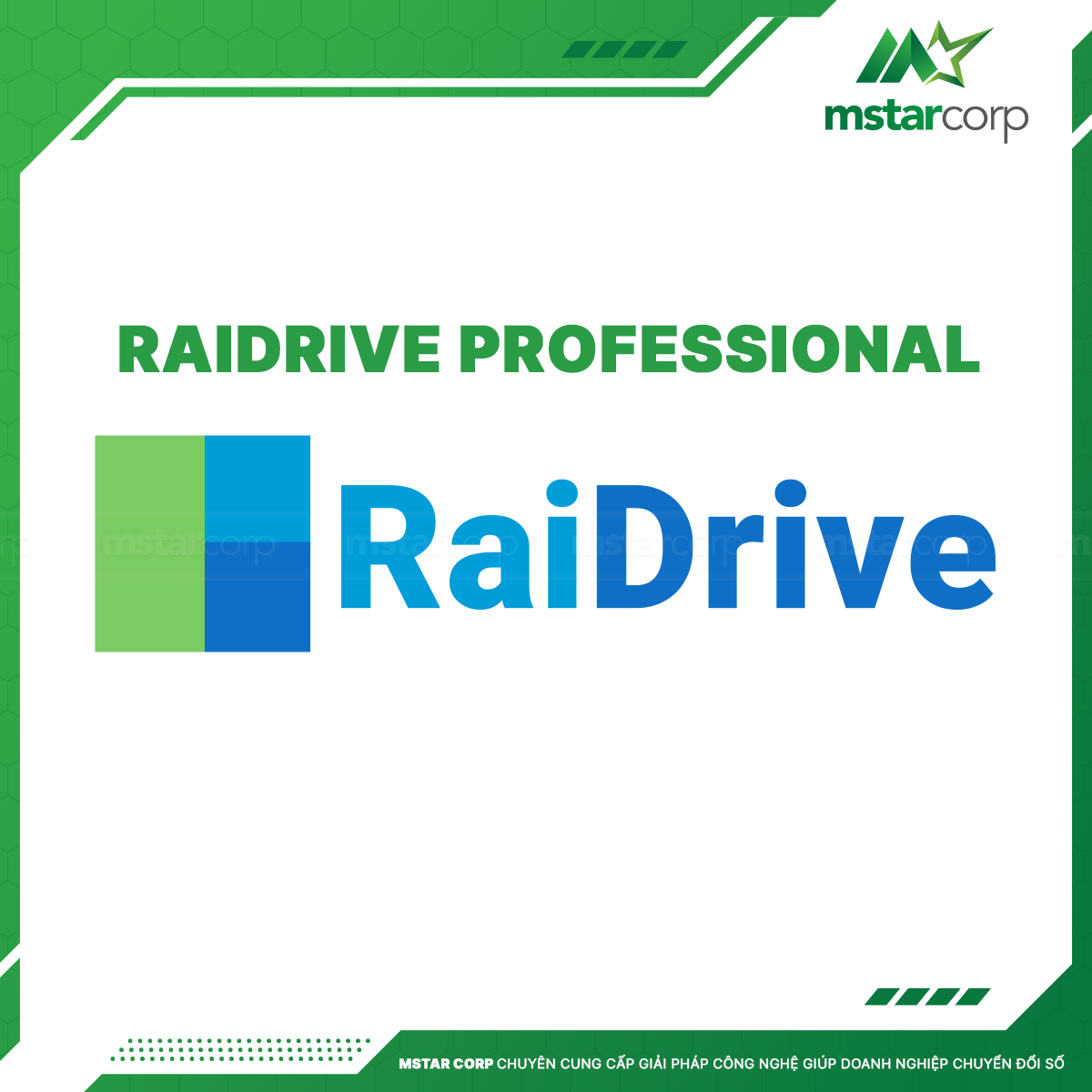 RaiDrive Professional | Mstar Corp