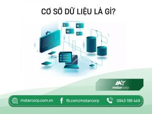 Cơ sở dữ liệu là gì? 3 mô hình CSDL phổ biến và 6 cách quản lý database hiệu quả