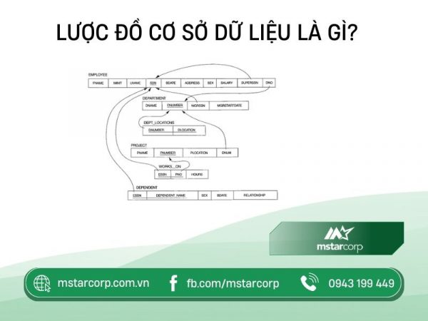 Cơ sở dữ liệu là gì? 3 mô hình CSDL phổ biến và 6 cách quản lý database hiệu quả