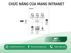 Intranet là gì? Ưu nhược điểm, cách thức hoạt động và ứng dụng của Intranet trong thực tế