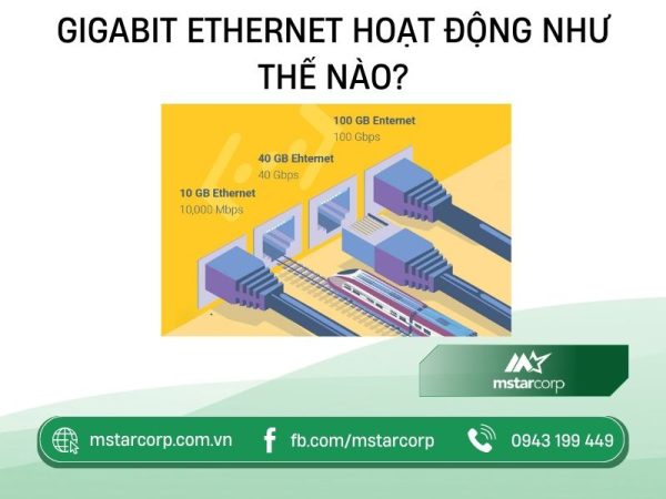 Gigabit Ethernet là gì? Cơ chế hoạt động và các lợi ích của Gigabit ...