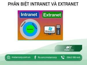 Intranet là gì? Ưu nhược điểm, cách thức hoạt động và ứng dụng của Intranet trong thực tế