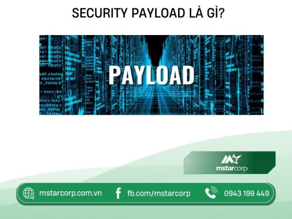 Payload là gì? Sự ảnh hưởng và cách phòng chống Payload hiệu quả
